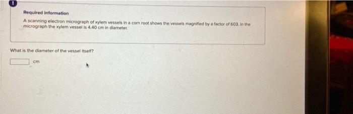 Solved Required information A scanning electron micrograph | Chegg.com