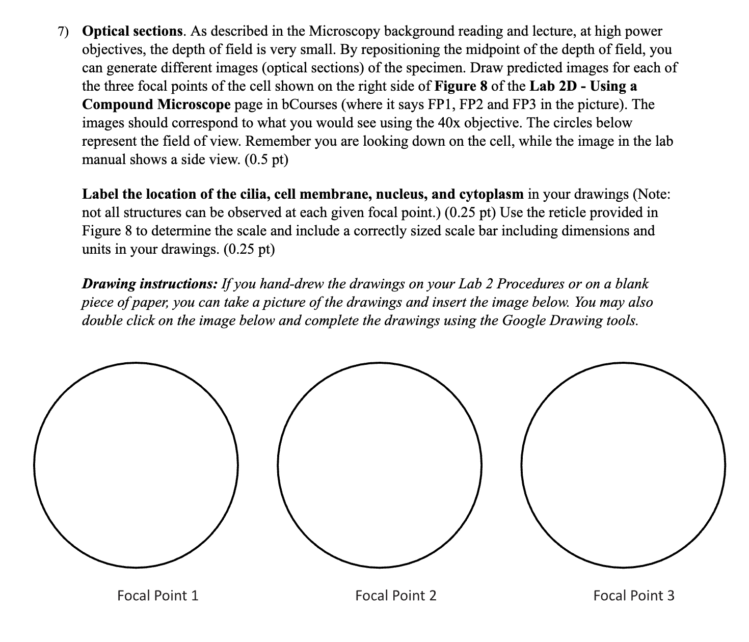 Solved Optical sections. As described in the Microscopy | Chegg.com