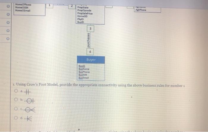 Solved Lead Management Using Crow's Foot Model, provide the | Chegg.com