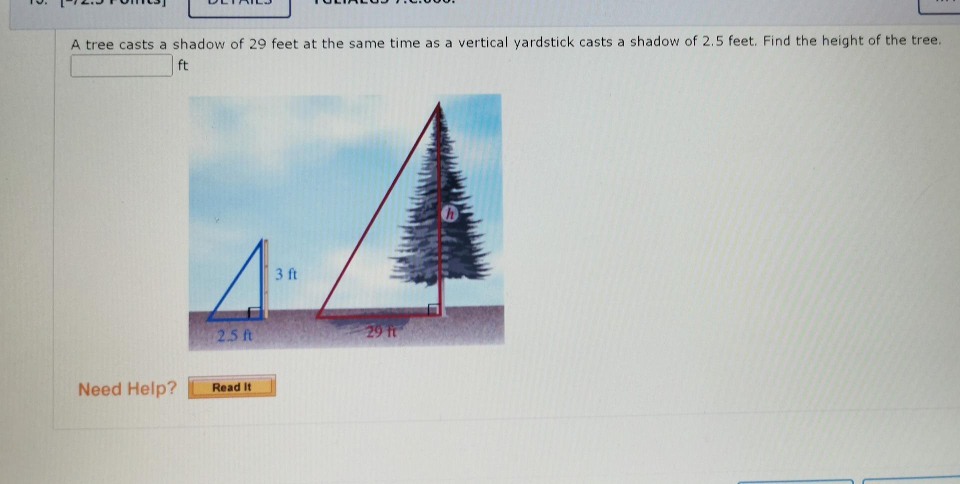 Solved A tree casts a shadow of 29 feet at the same time as | Chegg.com