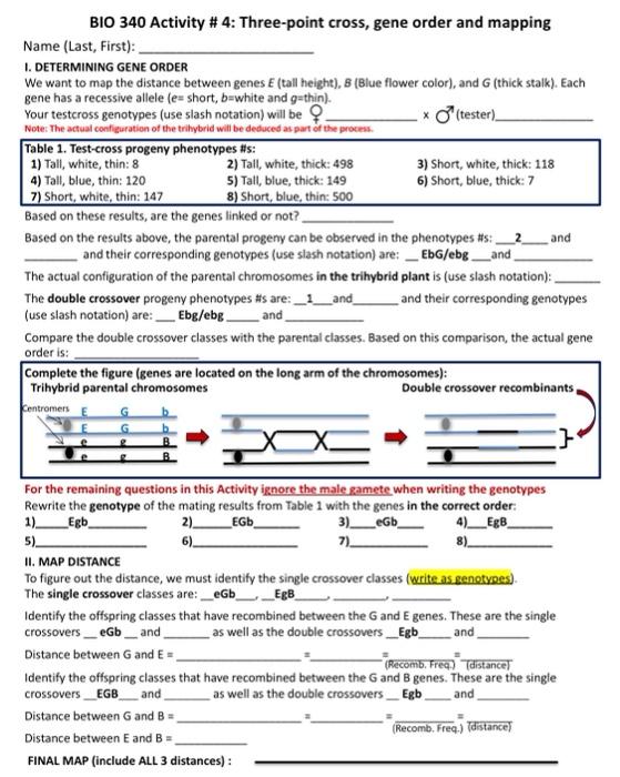 Solved BIO 340 Activity # 4: Three-point cross, gene order | Chegg.com