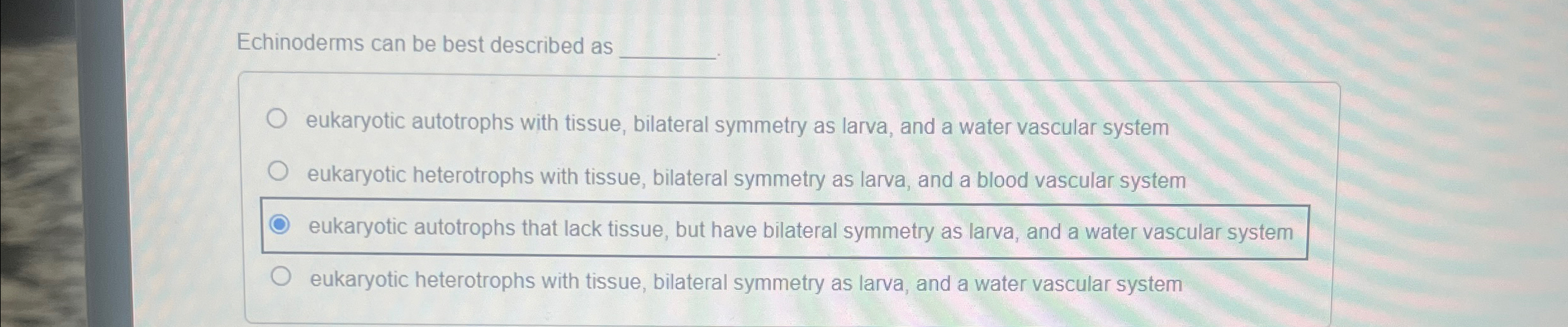 Solved Echinoderms can be best described as q,eukaryotic | Chegg.com