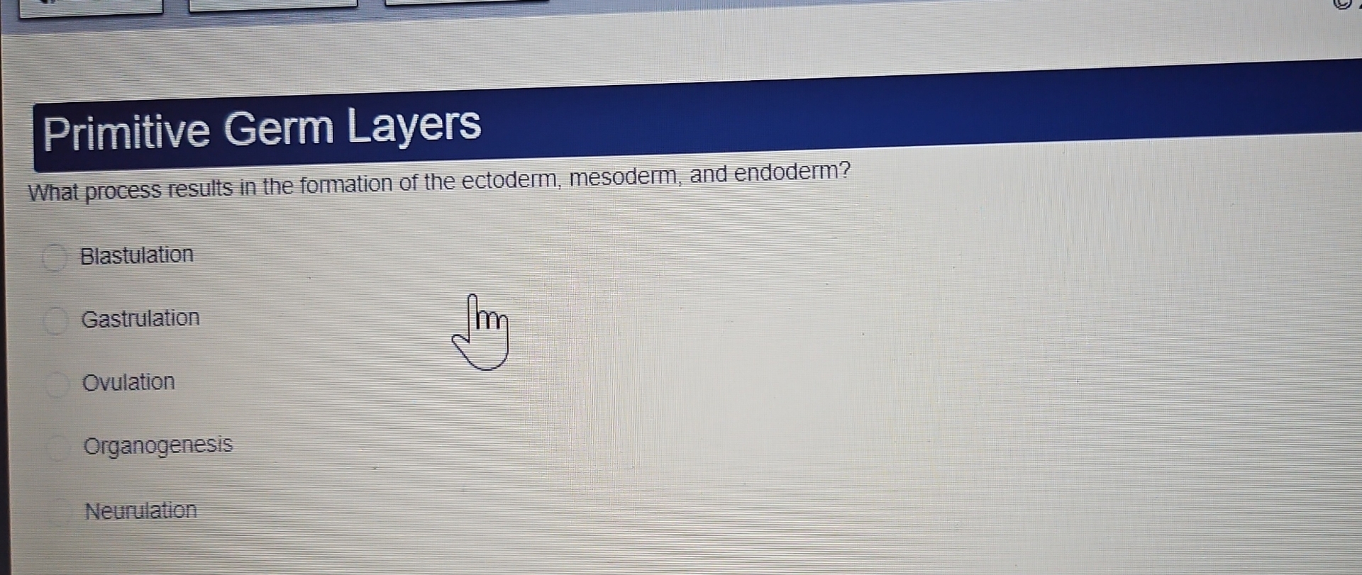 Solved Primitive Germ LayersWhat process results in the | Chegg.com