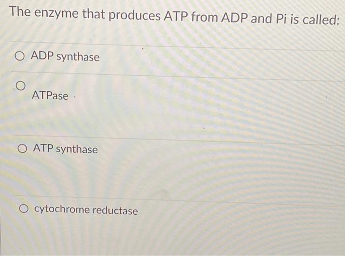 Solved The enzyme that produces ATP from ADP and Pi is | Chegg.com