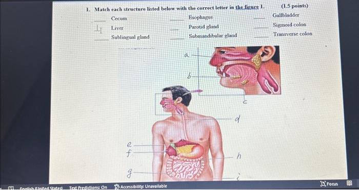 Solved 1. Match each structure listed below with the correct | Chegg.com