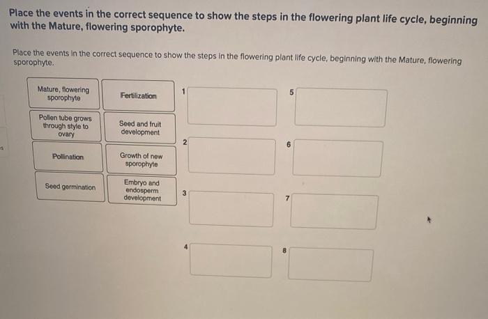 Solved Place the events in the correct sequence to show the | Chegg.com
