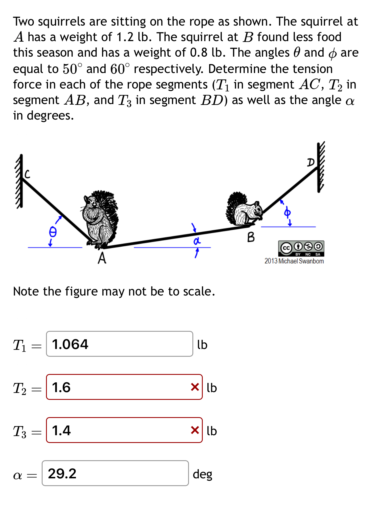 Solved Two squirrels are sitting on the rope as shown. The | Chegg.com