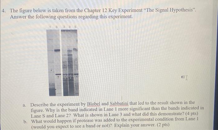 The figure below is taken from the Chapter 12 Key | Chegg.com