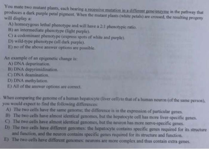 You mate two mutant plants, each bearing a tesessive | Chegg.com