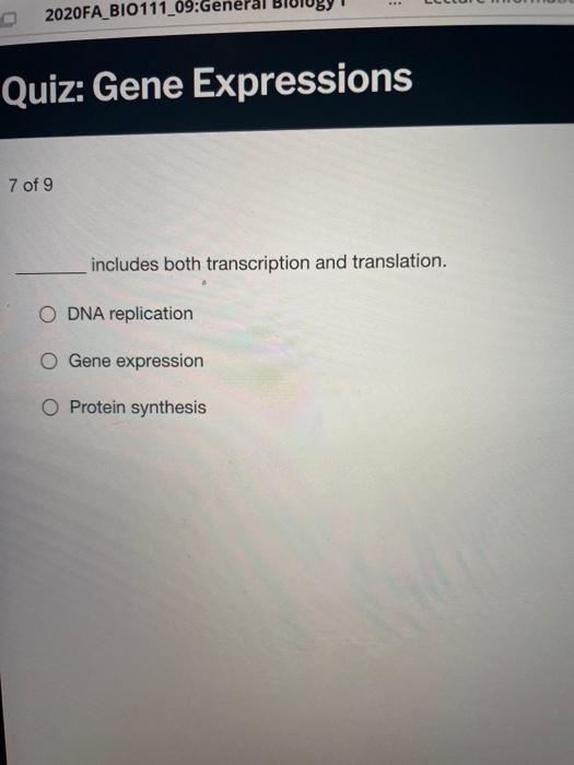 Solved 2020FA_BIO111_09:Gen Quiz: Gene Expressions 7 of 9 | Chegg.com