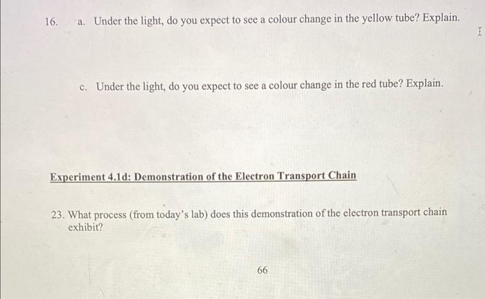 Solved Experiment 4.1a: Effect of Coloured Light on the | Chegg.com