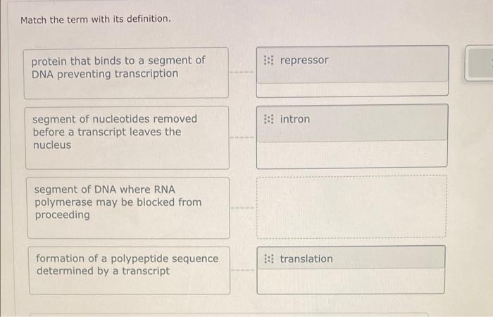 Solved Match the term with its definition. protein that | Chegg.com