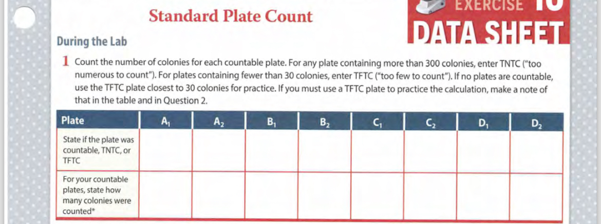 Solved Standard Plate CountDuring the LabD) ln ﻿IT1 ﻿Count | Chegg.com