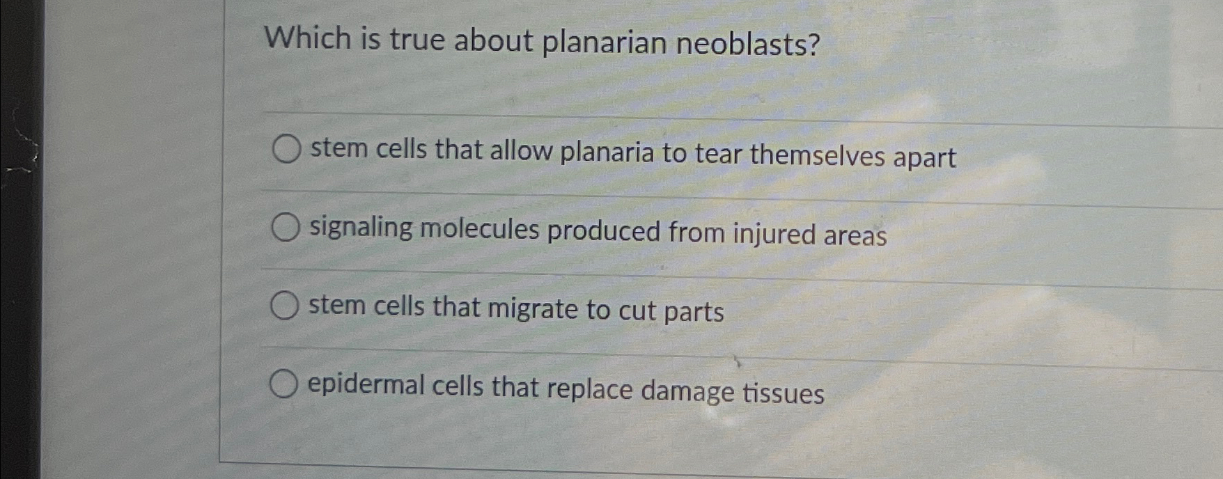 Solved Which is true about planarian neoblasts?stem cells | Chegg.com