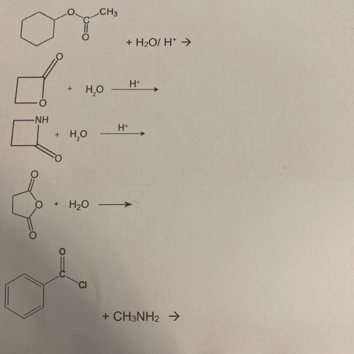 Solved СН3 U=O + H2O/ H+ → + HÁO HỶ H. Ho O + H2O + CH3NH2 → | Chegg.com