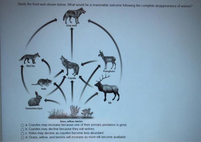 Solved Study the food web shown below. What would be a | Chegg.com