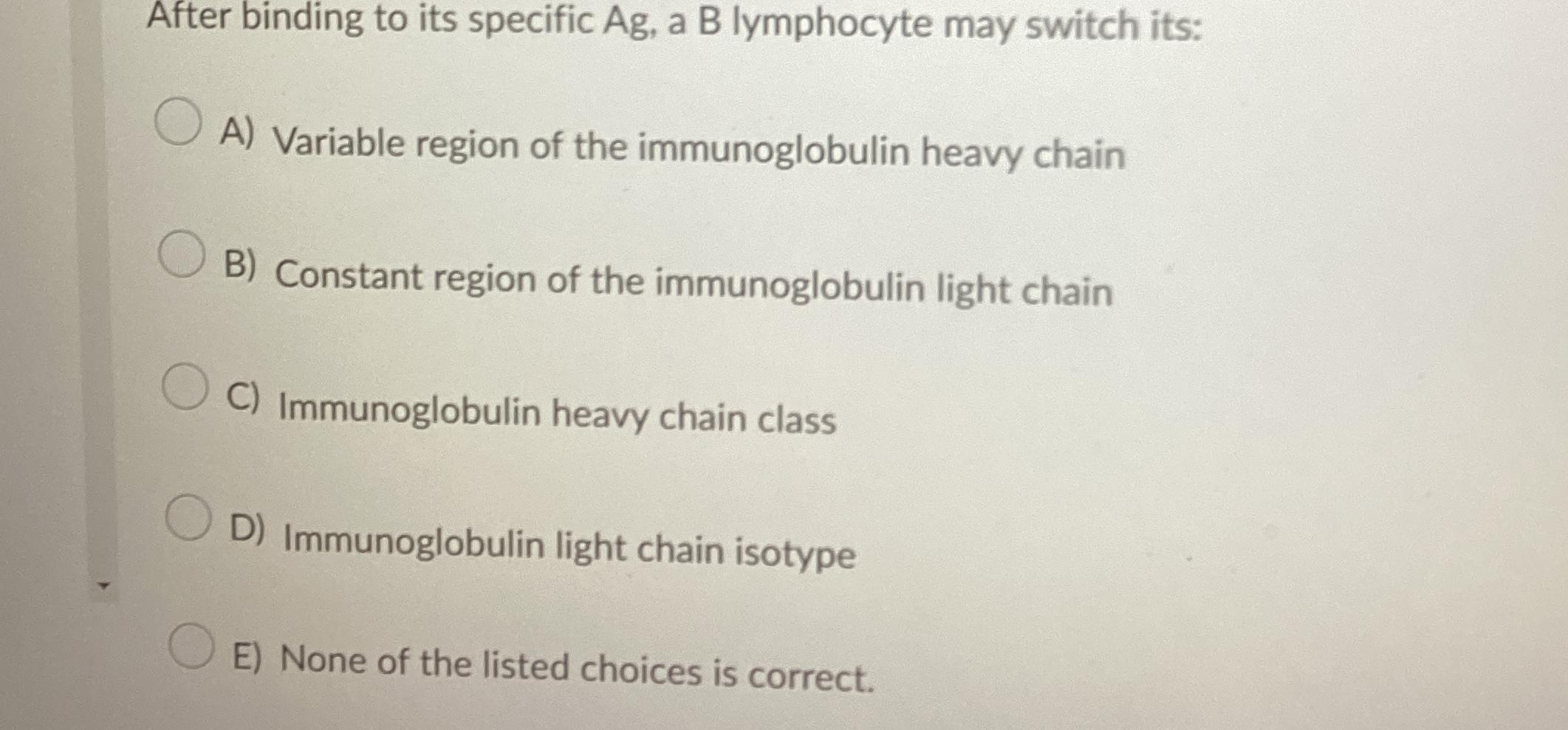 Solved After binding to its specific Ag, ﻿a B lymphocyte may | Chegg.com