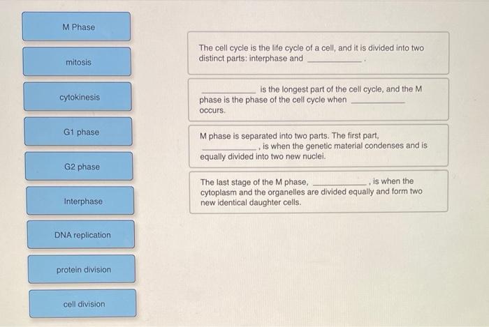 Solved Complete the following paragraph to describe the two | Chegg.com