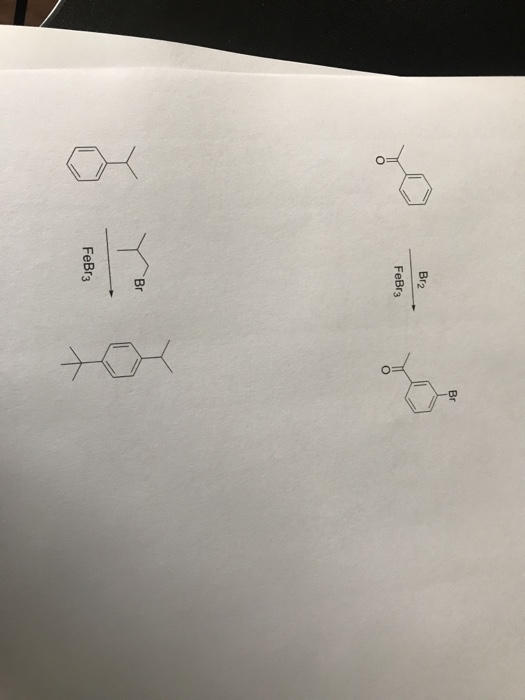 Solved Br2 FeBr3 FeBr3 | Chegg.com