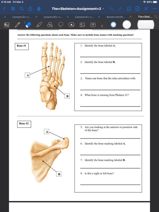 Solved Answer the following questions about each bonc. Make | Chegg.com