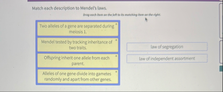 Solved Match each description to Mendel's laws.Two alleles | Chegg.com