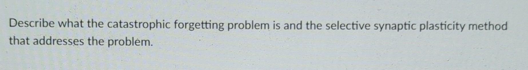 Solved Describe what the catastrophic forgetting problem is | Chegg.com