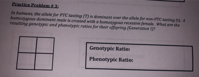Solved Practice Problem #3: In humans, the allele for PTC | Chegg.com