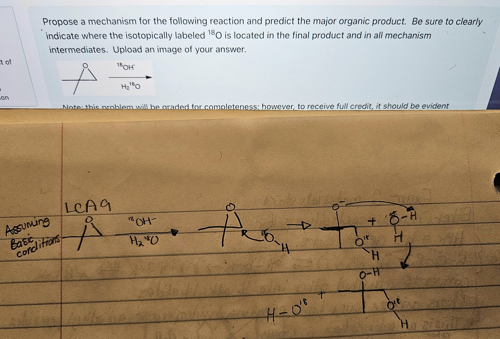 Solved This is what i have so far but I don't know what to | Chegg.com