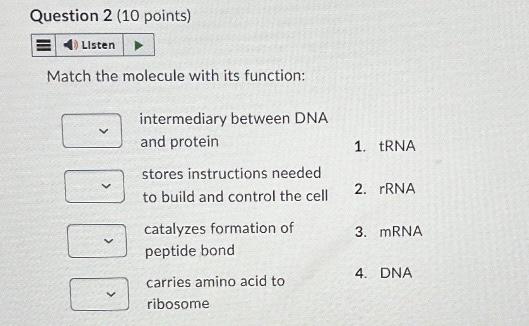 Solved Match the molecule with its function: intermediary | Chegg.com