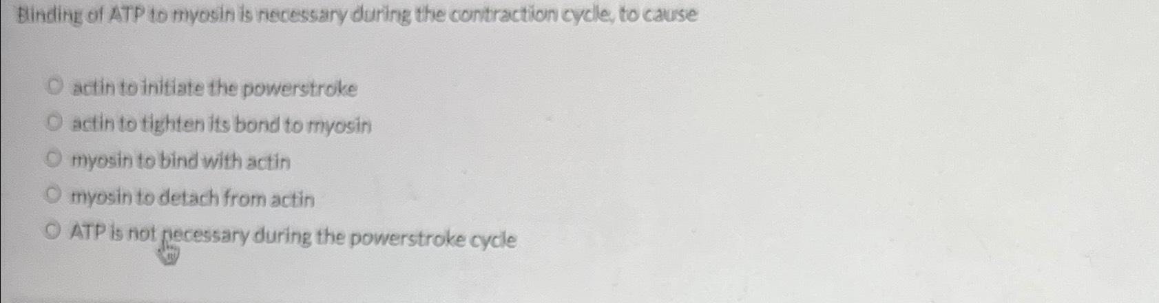 Solved Binding of ATP to myosin is necessary during the | Chegg.com