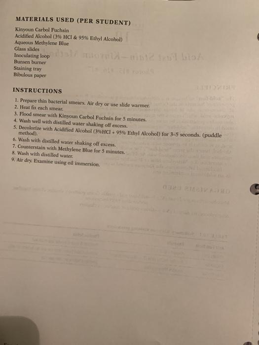 EXPERIMENT 10 Acid Fast Stain-Kinyoun Method Photos | Chegg.com