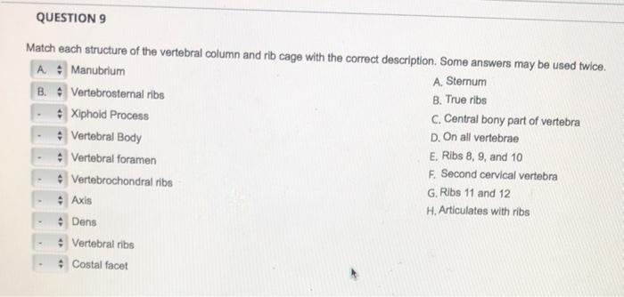 Solved QUESTION 9 Match each structure of the vertebral | Chegg.com