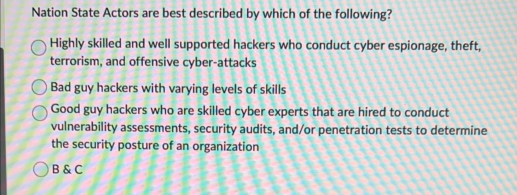 Solved Nation State Actors are best described by which of | Chegg.com