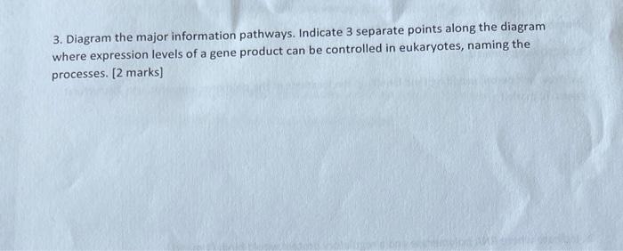 Solved 3 Diagram The Major Information Pathways Indicate 3