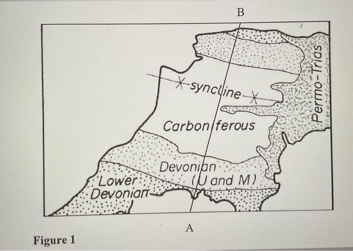 Solved Draw Schematic Cross Sections For The Transects In