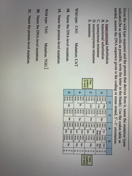 Solved Given the wild type sequence and the protein that | Chegg.com