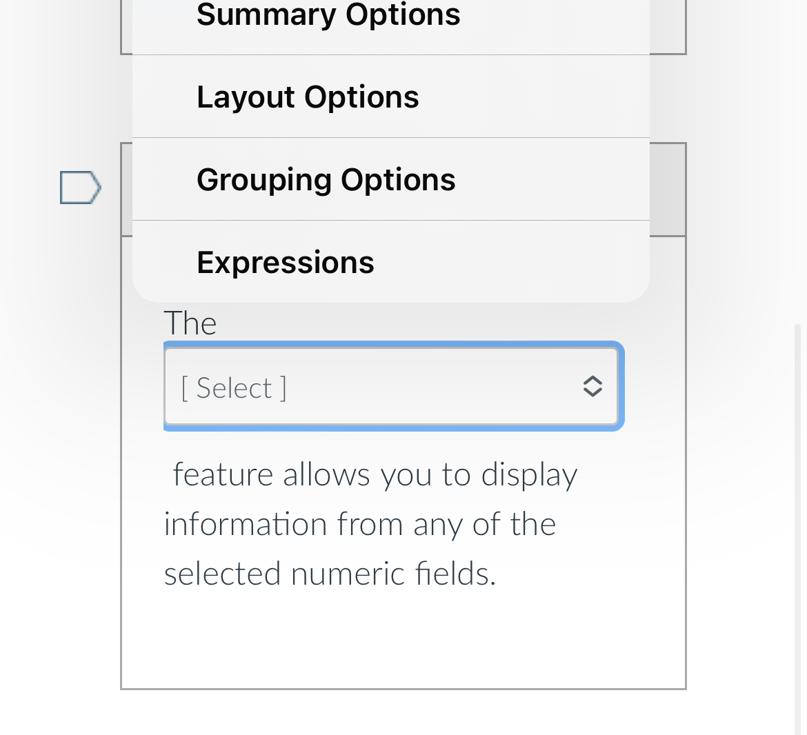 Solved Summary OptionsLayout OptionsGrouping | Chegg.com