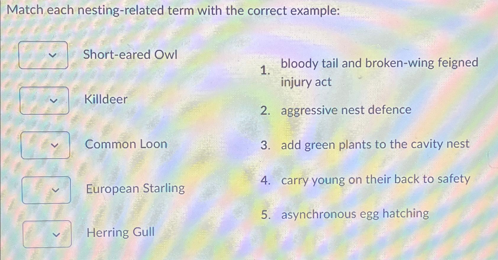 Solved Match each nesting-related term with the correct | Chegg.com