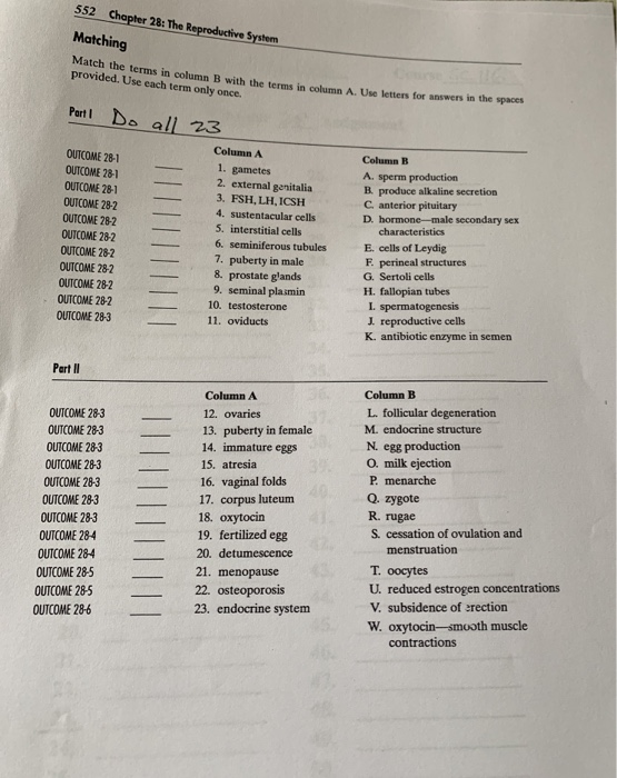 Solved 552 Chapter 28: The Reproductive System Matching | Chegg.com