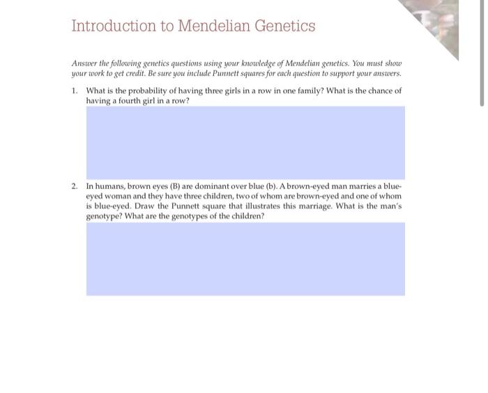 Introduction To Mendelian Genetics Worksheet Answer Key