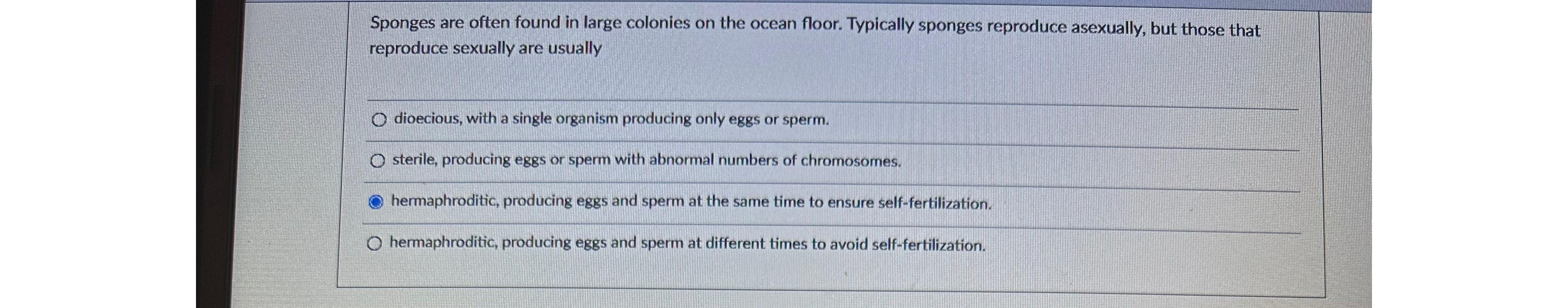 Solved Sponges are often found in large colonies on the | Chegg.com