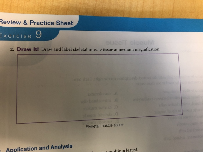 Solved Review & Practice Sheet Exercise 9 oueillum 2. Draw | Chegg.com