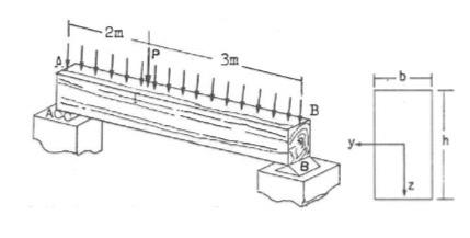Solved A wooden simply supported beam has a rectangular | Chegg.com