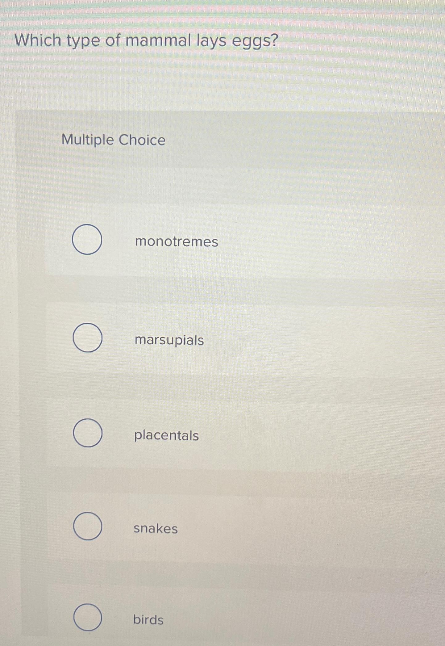 Solved Which type of mammal lays eggs?Multiple | Chegg.com