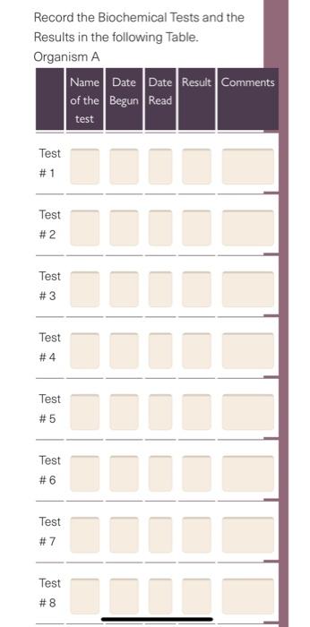 Solved REPORT 5 IDENTIFICATION OF UNKNOWN BACTERIA Organism | Chegg.com