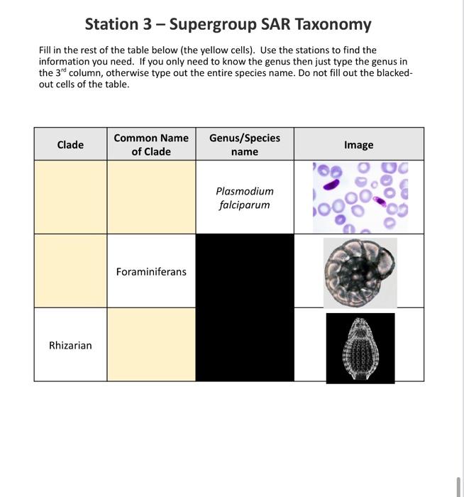 Solved Station 3 - Supergroup SAR Taxonomy Fill in the rest | Chegg.com