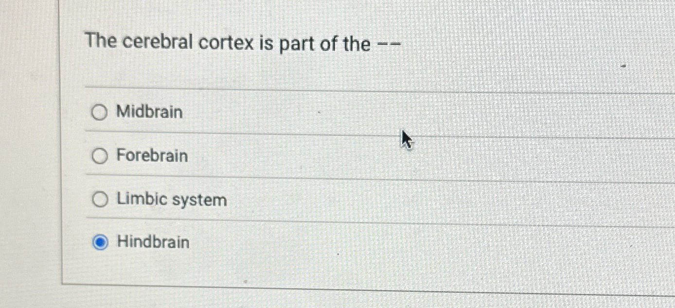 Solved The cerebral cortex is part of the | Chegg.com