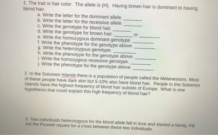 Solved or 1. The trait is hair color. The allele is (H). | Chegg.com