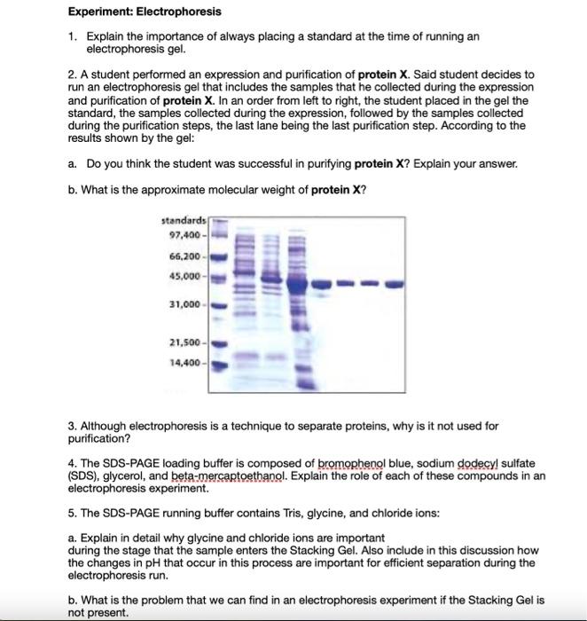 Solved Experiment: Electrophoresis 1. Explain the importance | Chegg.com