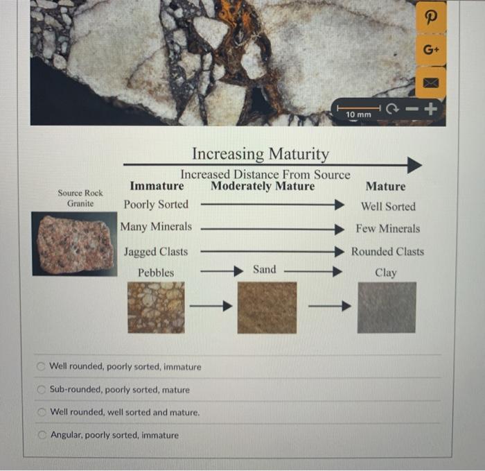 Solved Question 1 1 pts Describe the maturity of the | Chegg.com